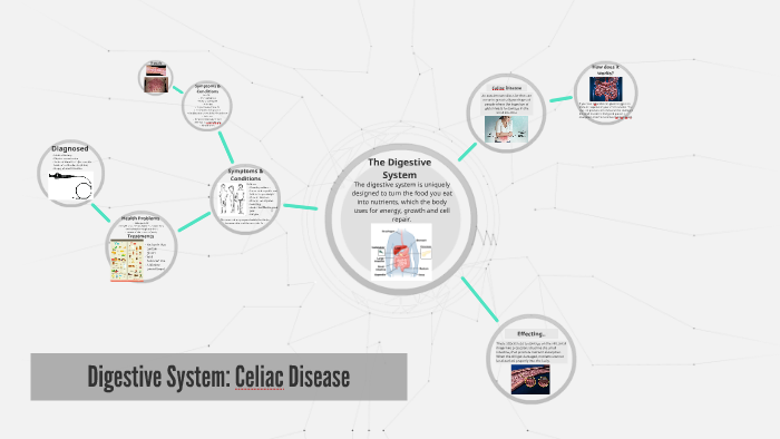 Digestive System: Celiac Disease by Lisa Do on Prezi