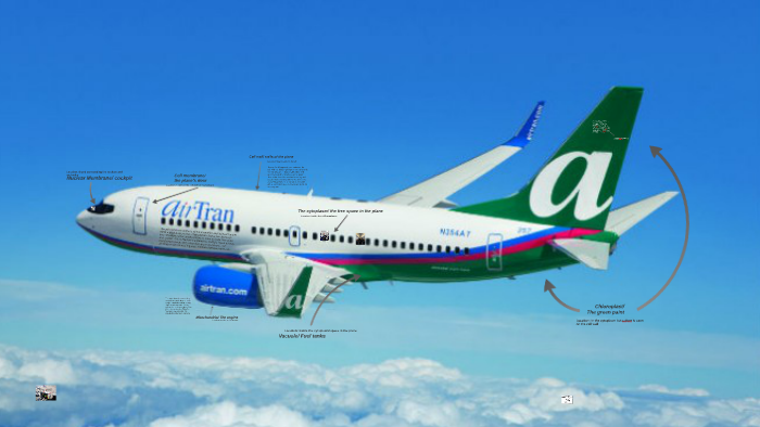 Cell Analogy to Airplane by Jessie Huynh on Prezi