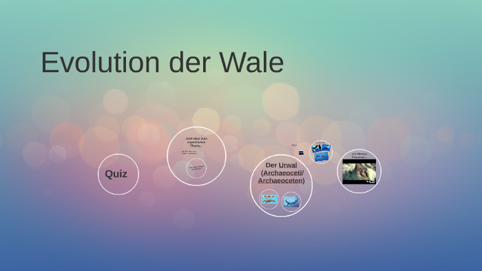 Evolution der Wale by felix schwarz on Prezi