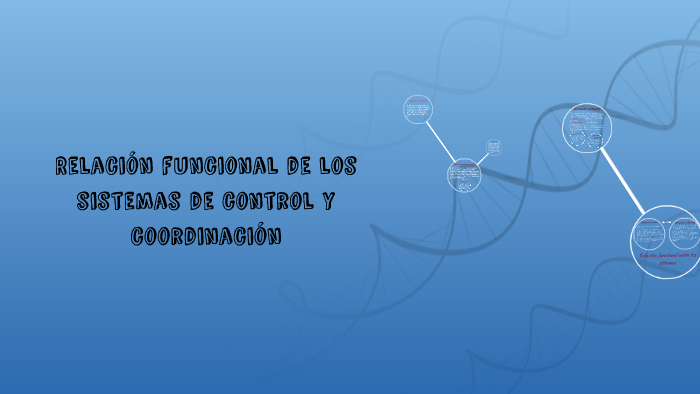 Relación funcional de los sistemas de control y coordinación by ...