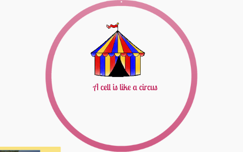 A cell is like a circus by on Prezi