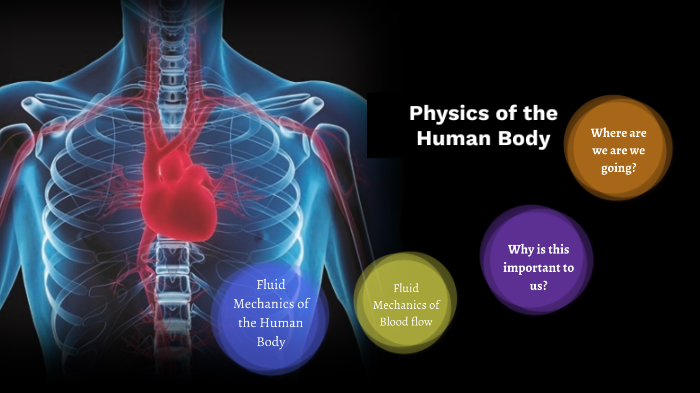 Fluid Dynamics of the Heart by Trent Rampersadsingh on Prezi