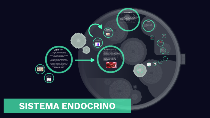 SISTEMA ENDOCRINO by Jesika Rodriguez on Prezi