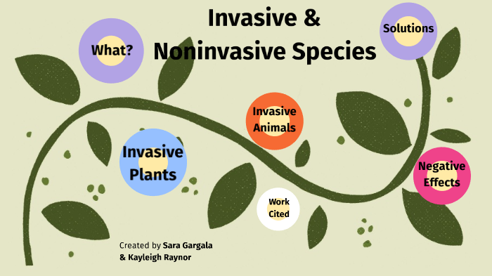 Invasive & Noninvasive Species by Sara Gargala on Prezi