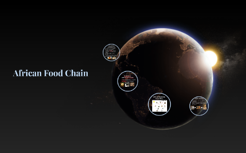 African Food Chain Project by zozo peanuts on Prezi