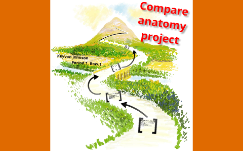 compare anatomy project by keyvon johnson on Prezi