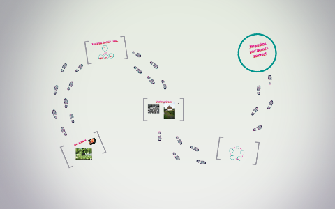 Ziva priroda by Cvetkoska Marija on Prezi