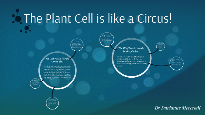The plant cell is like a circus by Darianne Mercredi on Prezi