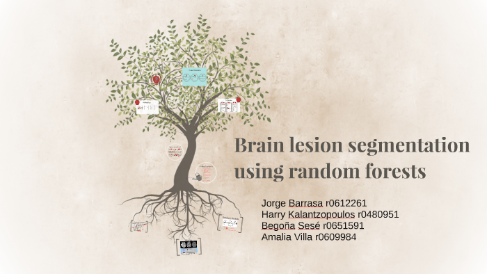 Brain lesion segmentation using random forests by Amalia Villa Gómez on Prezi