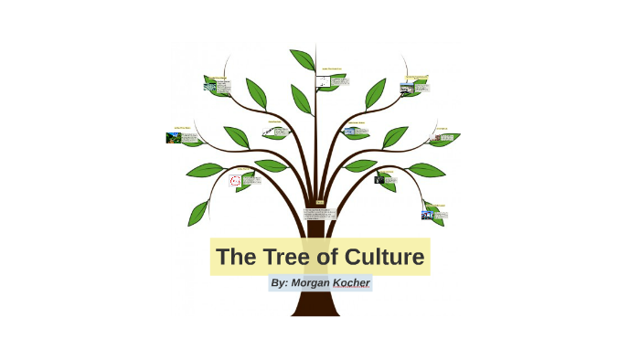 The Tree of Culture by Morgan Kocher on Prezi