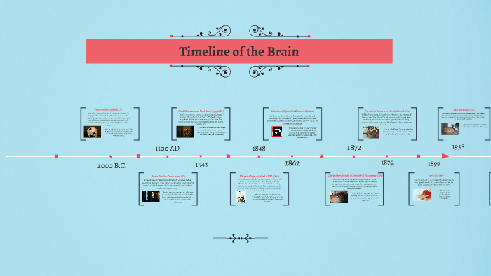 Timeline of the Brain by Elizabeth Walden on Prezi