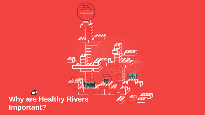 Why are Healthy Rivers Important? by Mckenna Larsen on Prezi