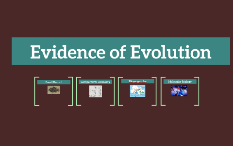 EvidenceofEvolution by Kristen Murphy-Cormier