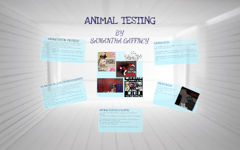 Animal testing (Sam Gaffney) by Mr. Olcott