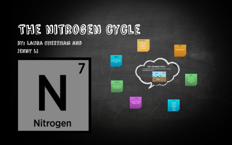By: Laura Cheetham and Jenny Li by laura cheetham on Prezi