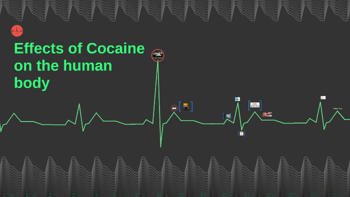 Effects of Cocaine on the human body by alejandra granillo on Prezi