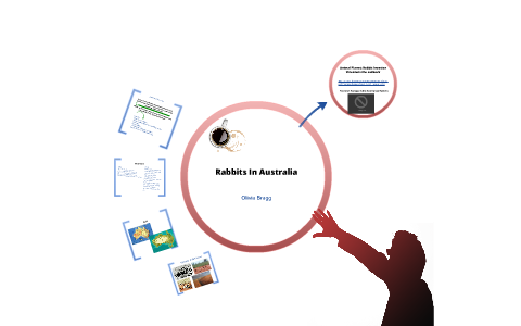 Australia: The Rabbit Problem by Olivia Bragg on Prezi