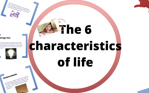 The 6 characteristics of life by nick caylor