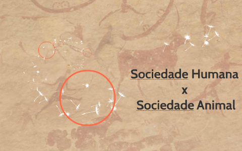 Sociedade Humana e Sociedade Animal by Bárbara Oliveira on Prezi