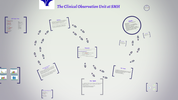 The scope of the Clinical Observation Unit Project includes by Ikenna ...