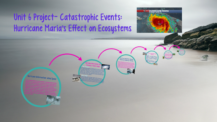 Catastrophic Events- Hurricane Maria's Effect on Ecosystems by Tyler ...
