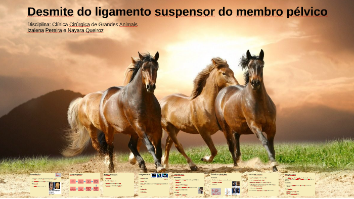 Desmite do ligamento suspensor do membro pélvico by Nayara Oliveira on ...