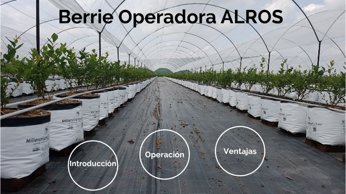 ALROS by OSCAR ALVAREZ on Prezi