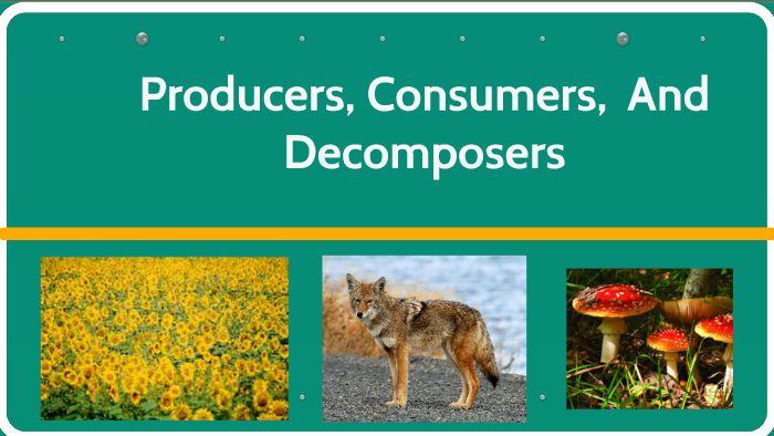 Producers, Comsumers, And Decomposers by Gavin Be on Prezi