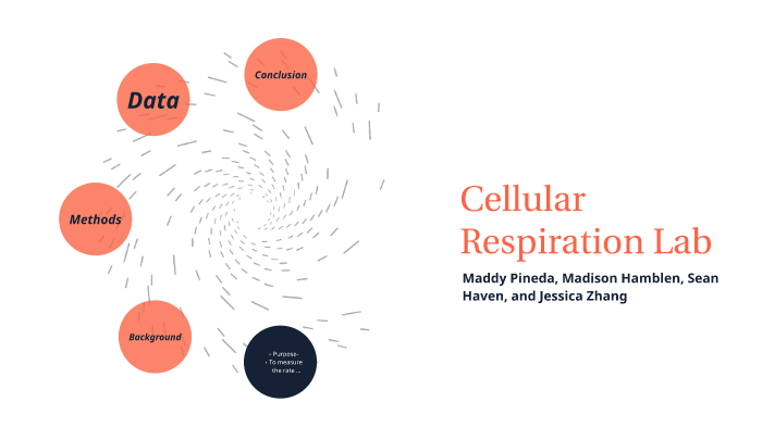 Cellular Respiration Lab by Group 1 on Prezi
