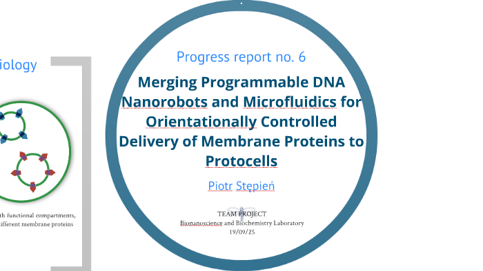 Progress report 19.09.25 by Peter Stepien on Prezi