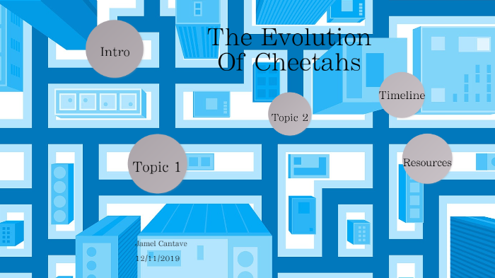 Evolution Of Cheetah by JAMEL CANTAVE on Prezi