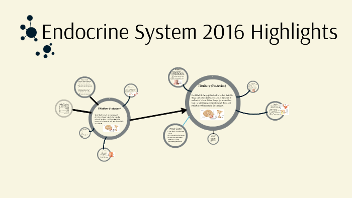 Endocrine System Yearbook by Fletcher Hubbard on Prezi