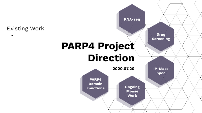 PARP4 Project Direction by Yi Fei Lee on Prezi