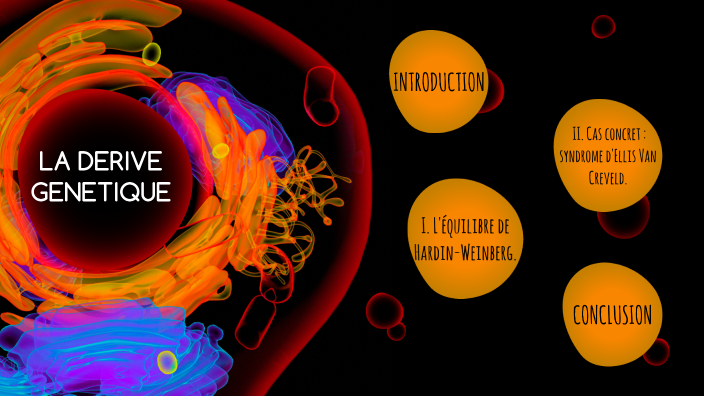 SVT : Dérive génétique by Rébecca Faye on Prezi