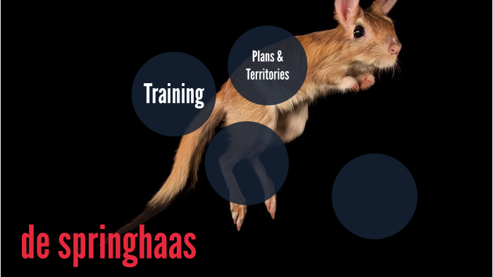 spreekbeurt springhaas by titus bude on Prezi