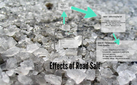 Effects of Road Salt by Shanay Gonder on Prezi