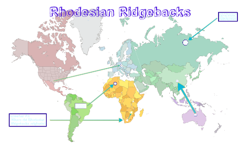 Rhodesian Ridgebacks by Meredith Poling on Prezi