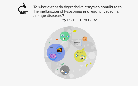 To what extent do degradative enzymes contribute to the malf by Paula ...