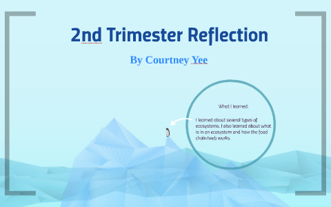 2nd Trimester Reflection by on Prezi