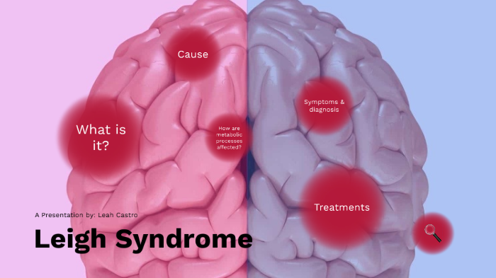 Leigh Syndrome by Leah Castro on Prezi