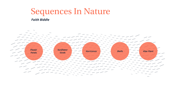 Sequences In Nature by faith biddle on Prezi