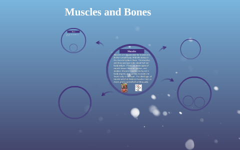 Muscles and Bones by Brenden Nichols on Prezi