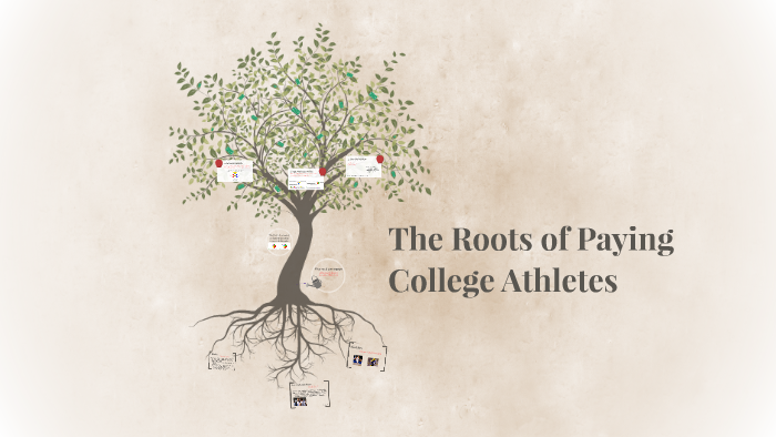 The 20-Hour Rule by Abigail Dirks on Prezi