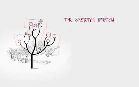 THE SKELETAL SYSTEM by on Prezi