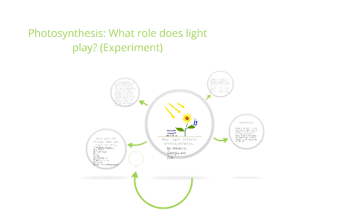 How light affects photosynthesis. by on Prezi