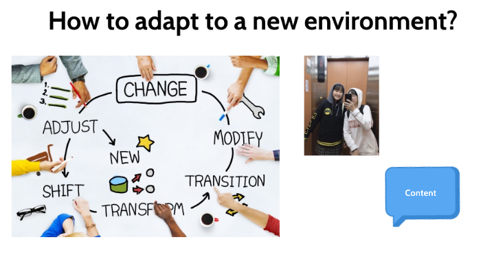 How to adapt to a new environmentHow to adapt to a new environment by ...