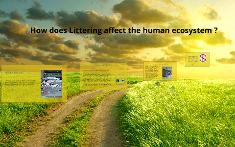 How does Littering affect the human ecosystem ? by Chasity Patterson