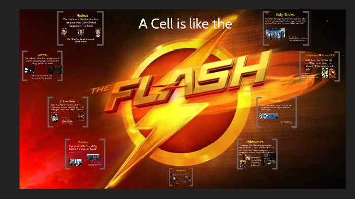 A Cell is Like The Flash by Erick Guerrero on Prezi