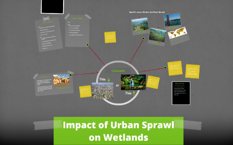 Impact of Urban Sprawl on Wetlands by Jacob Ramberg on Prezi