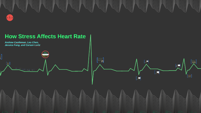 How Stress Affects Heart Rate by Carson Lortz on Prezi